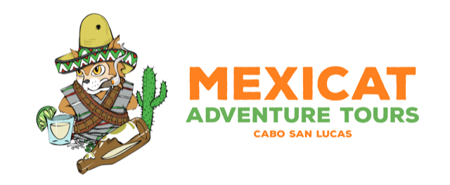Mexicat